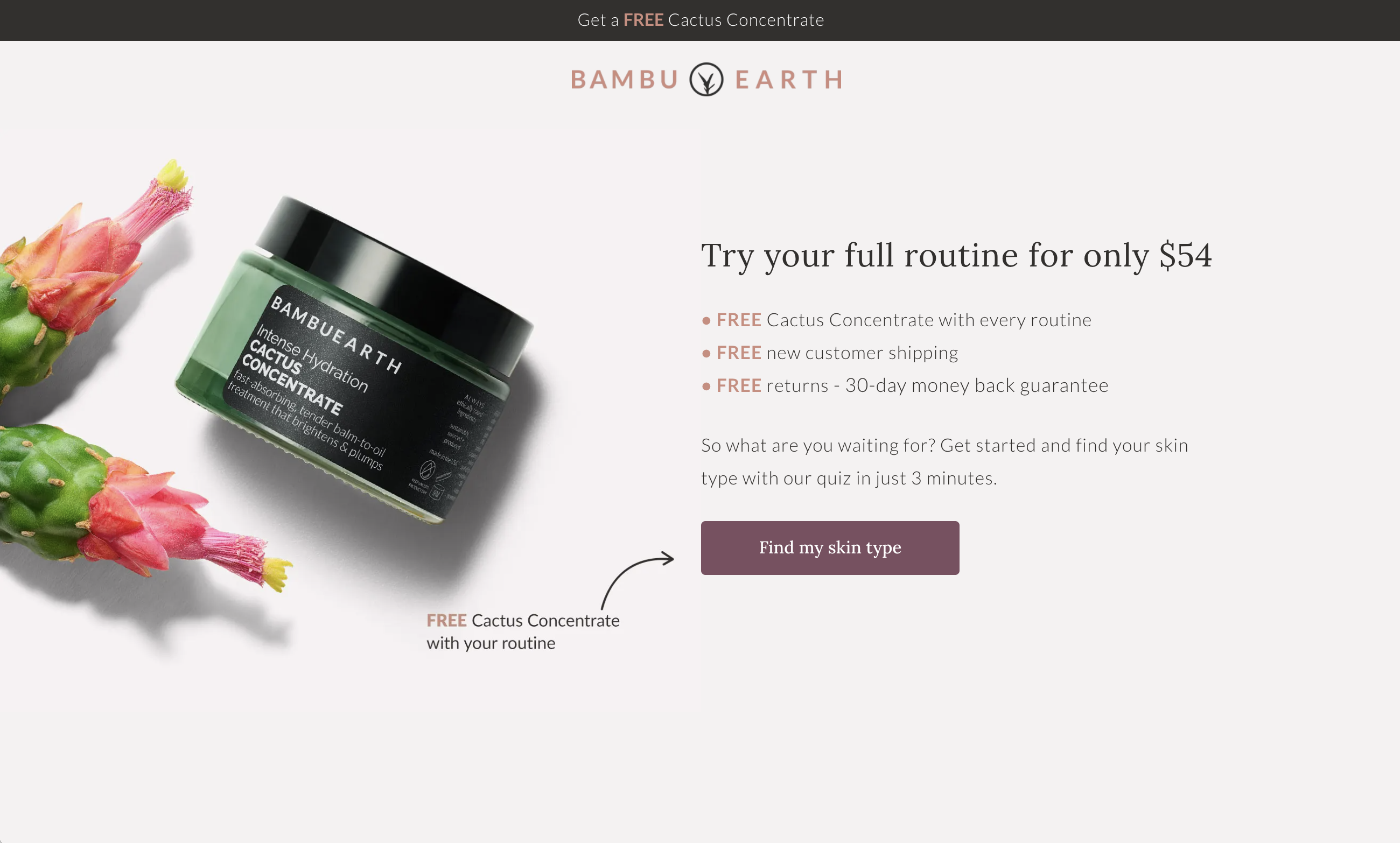 The Bambu Earth Quiz Strategy That Makes Over $10 Million a Year